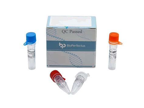 Bioperfectus Plasmodium Genotyping Real Time Pcr Kit
