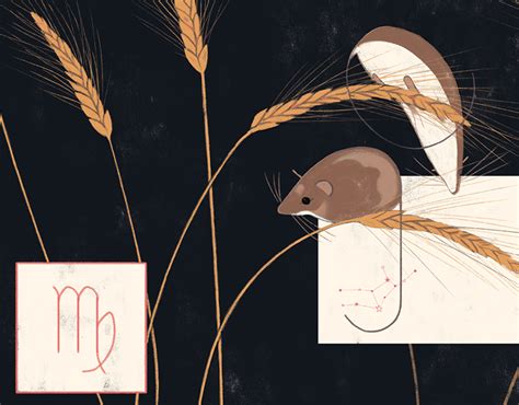 Sander Berg On Behance