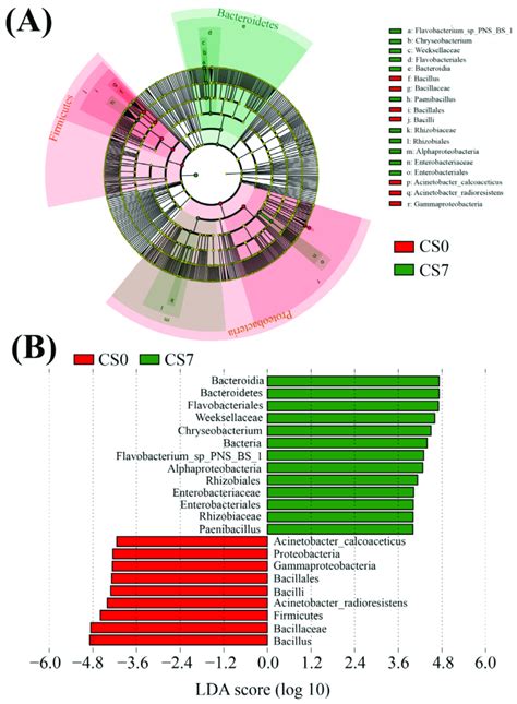 Linear Discriminant Analysis Lda Integrated With Effect Size Lefse