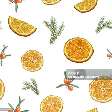 마른 오렌지 조각 바다 갈매 나무속 베리 가문비 나무 가지와 완벽 한 패턴 감귤류 딸기 상록수 겨울철 따뜻한 음료 흰색에 고립된 수채화 그림입니다 직물 랩 스크랩북 0명에