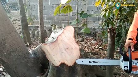 Stihl Stihl Ms Powerful Petrol Chainsaw Inch Guide Bar