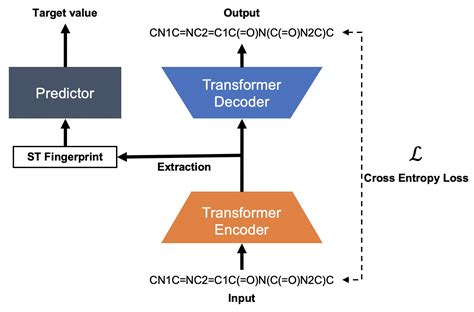 Smiles Transformer Pre Trained Molecular Fingerprint For Low Data Drug