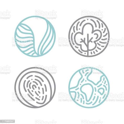 원형 선형 스타일의 둥근 바이오 엠블럼 세트 열대 식물 녹색 잎 로고입니다 천연 물 꽃집 화장품 생태 개념 건강 스파의 디자인 벡터 추상 배지 0명에 대한 스톡 벡터 아트