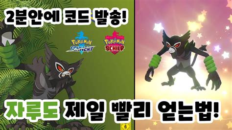 [포켓몬스터 소드 실드] 자루도 코드 빠르게 얻는법 Youtube