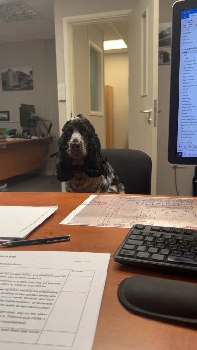 Chris Heap On Linkedin Best Candidate So Far