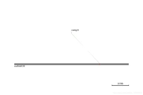 一个用python编写的序列比对可视化工具 Linkviewlinkview2 Csdn博客