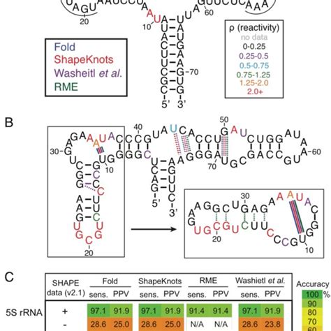 SHAPE Seq Reveals Reactivity Changes In The Presence Of Ligand For The Download Scientific