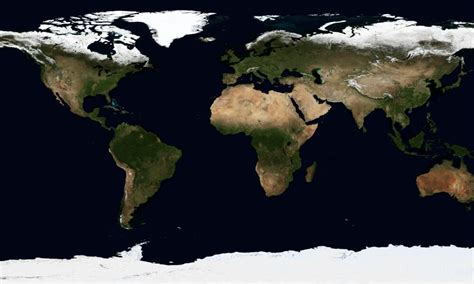 Descubre Todo Sobre La Medusa M S Grande Del Mundo Caracter Sticas Y