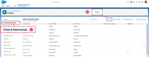 Extract Year From Date Using Year Function In Salesforce