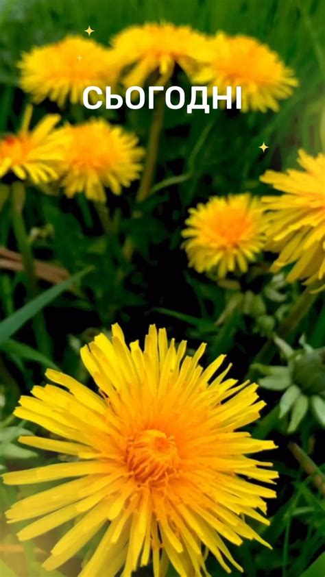 Доброго ранку