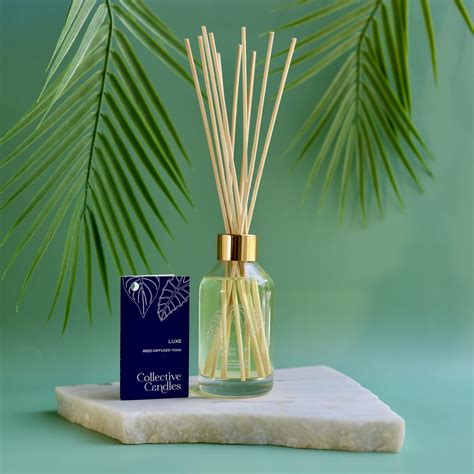 Luxe Reed Stick Diffuser Reed Stick Fragrance Diffusers