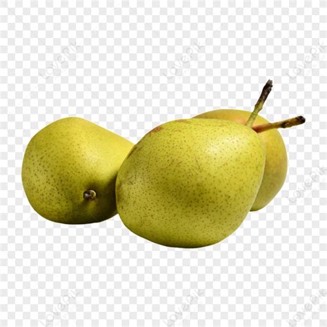 얇은 껍질의 육즙이 많은 폐 과일 배 3 개 얇은 피부 초록 Png 일러스트 무료 다운로드 Lovepik