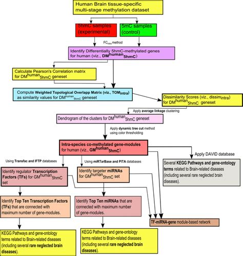flowchart of the proposed framework of gene module detection for human
