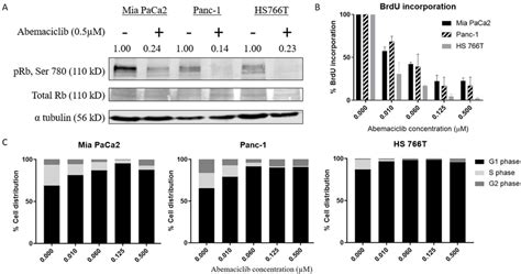 Abemaciclib Causes G1 Arrest And Inhibit Cell Cycle Progression In Pdac