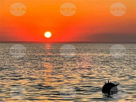 България Румъния и Турция ще подпишат утре Меморандум за разбирателство за създаване на