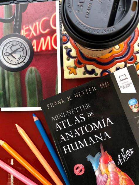 Atlas De Anatomia Humana Mini Netter Frank Netter Quien En Un Principio