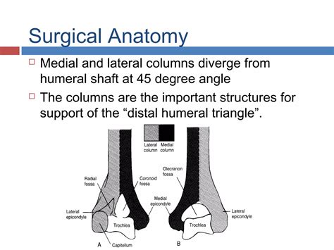 Fracture Of Distal End Humerus Ppt