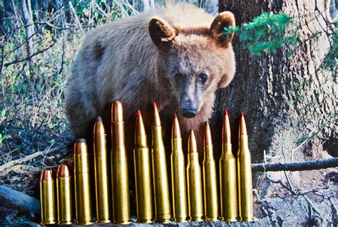 Shooting A Charging Grizzly Bear