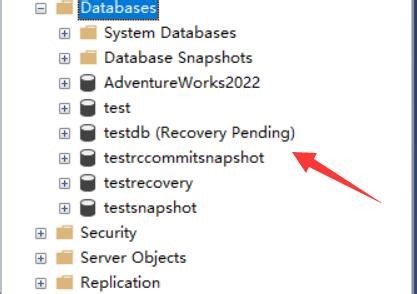 拯救SQL Server数据库事务日志文件损坏的终极大招 桦仔 博客园