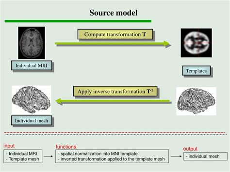 Ppt Eegmeg Source Reconstruction Powerpoint Presentation Free