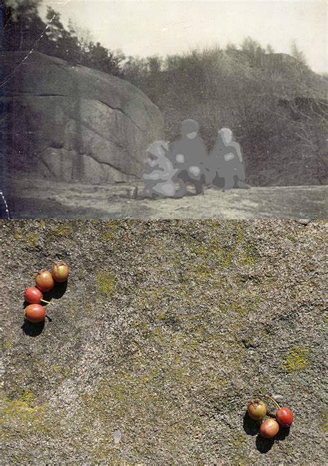 anthology - a curious hill