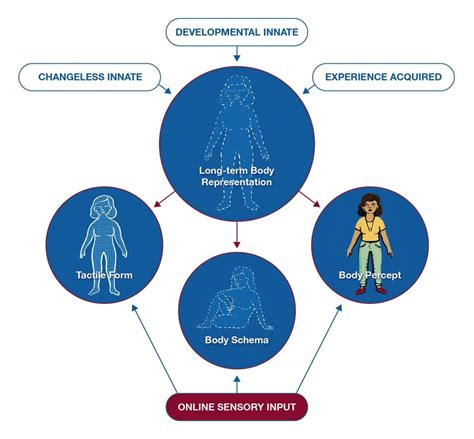 Flow Chart Of Spatial Content Download Scientific Diagram