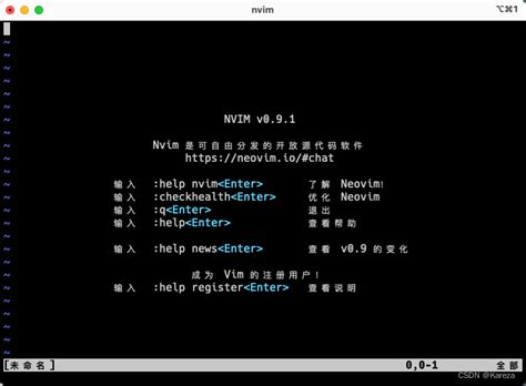 NeoVim 安装 neovim安装 CSDN博客