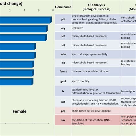 Functional Annotation Of Differentially Expressed Sex Differentiation Download Scientific