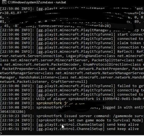 Cant Type In Console Radmincraft
