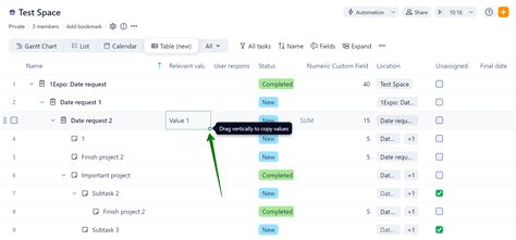 Status Backburner Data Entered Into Custom Fields Rolls Down To