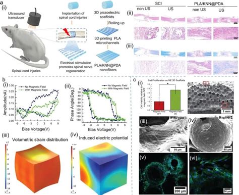 湖南大学朱伟 韩晓筱教授团队am综述：3d打印骨组织工程智能支架的研究进展 腾讯新闻
