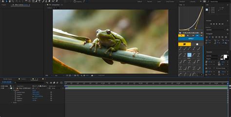 solved pre composition visuals disappear when adding tran adobe