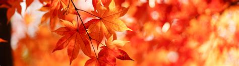 2023 Jsae Annual Congress Autumn In Nagoya Congress Center