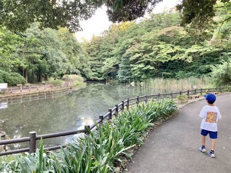 横浜市こども植物園横浜市児童遊園地隣り合った施設で植物園と遊具を楽しめるバラサボテンくだもの園児童遊園地の遊具広場に通年利用