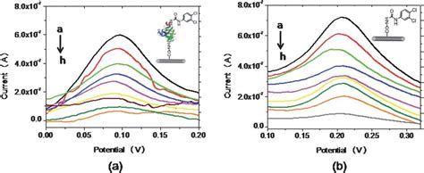 Response Curves Left DCPU Conjugate Coated C CNTs Modified SPE And Download Scientific