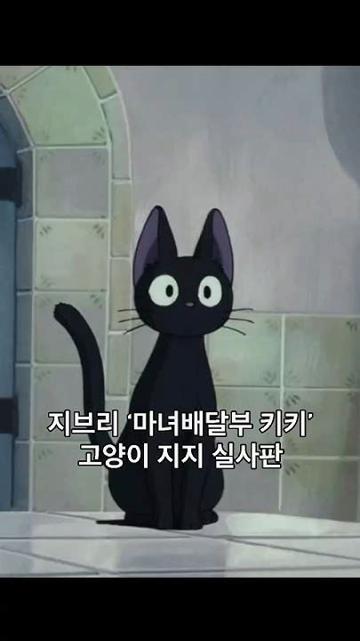 지브리 마녀배달부키키 고양이 실사판 🐈‍⬛ 깜냥이 미쯔 Cat 고양이일상 Youtube