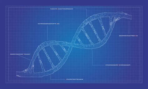 The Long And Winding Road On Demand Dna Synthesis In High Demand