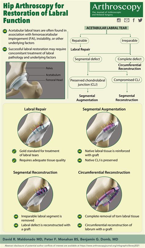 Labrum Grasshopper Function At Jack Radcliffe Blog