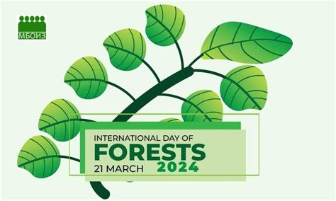 Өнөөдөр дэлхийн ойн өдөр тохиож байна МБОИЗ