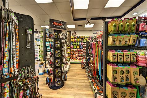 Зоомагазин Белите брези София Зоомагазини Д р Стефанов