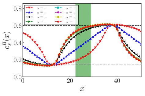 Solute Concentration Profile In The Case Of A Constant Imposed