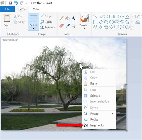 معکوس کردن رنگ های تصویر در مایکروسافت پینت تک دیک