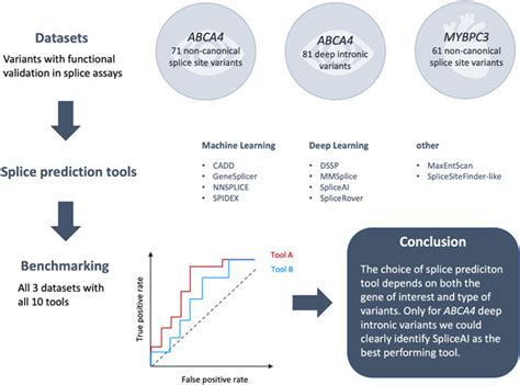 Benchmarking Deep Learning Splice Prediction Tools Using Functional Splice Assays Riepe 2021
