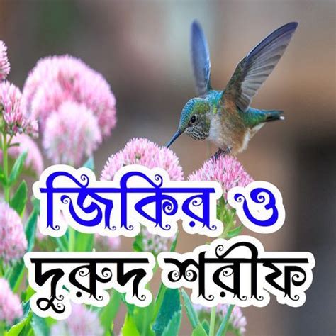 Durood Sharif। Zikir Bangla Part 2 Cute Voice Male Version Songs