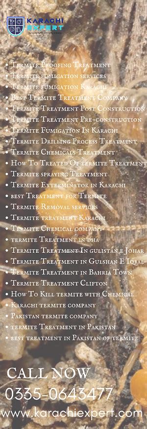 Termite Karachi Expert