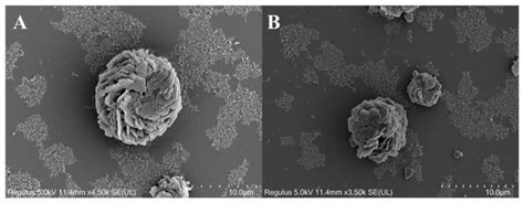 一种花状手性氢氧化铝纳米材料及其制备方法