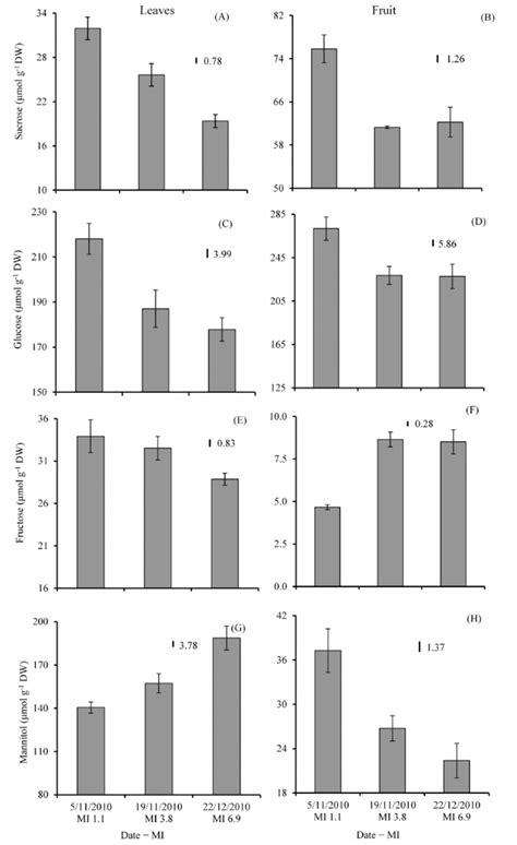 Sucrose Glucose Fructose And Mannitol In Leaves And Fruit In
