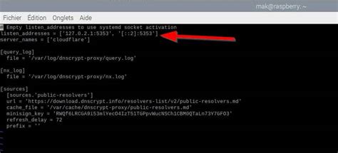 Installer Adguard Home Avec Dnssecsecure Dns Sur Un Raspberry