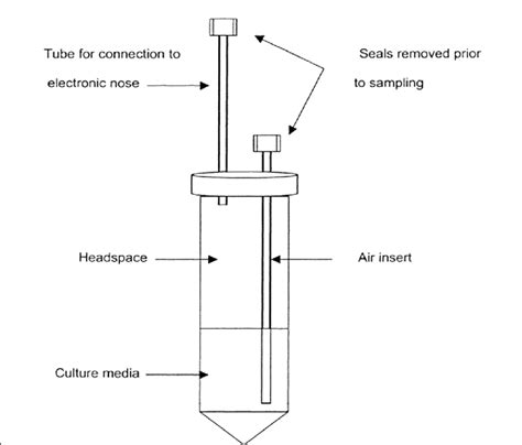 Diagram Of The Sampling Vessel Used For Incubation Of The Skimmed Download Scientific