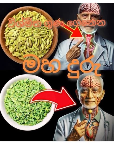 Arunella මහදුරු ආහාරයට ගත්තොත් සුව වෙන රෝග 20 ක් මාදුරු හෙවත් මහදුරු ආහාර පිසින විට වෑංජන